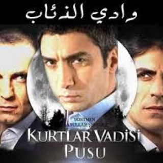 Wadi diab 10 (saison 10 ) : Une série d'action turque qui a réalisé un ...